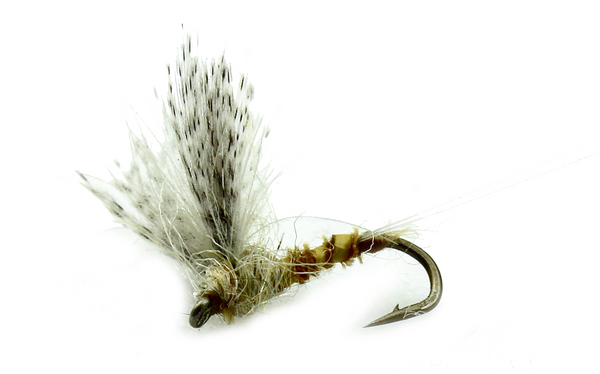 CDC Comparadun Biot Light Cahill, Biot Fly, Fly Fishing – Dryflyonline.com