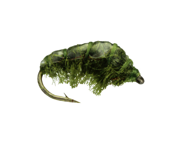 Hunch Back Scud Olive,Discount Trout Flies for Fly Fishing,Scud Fly ...