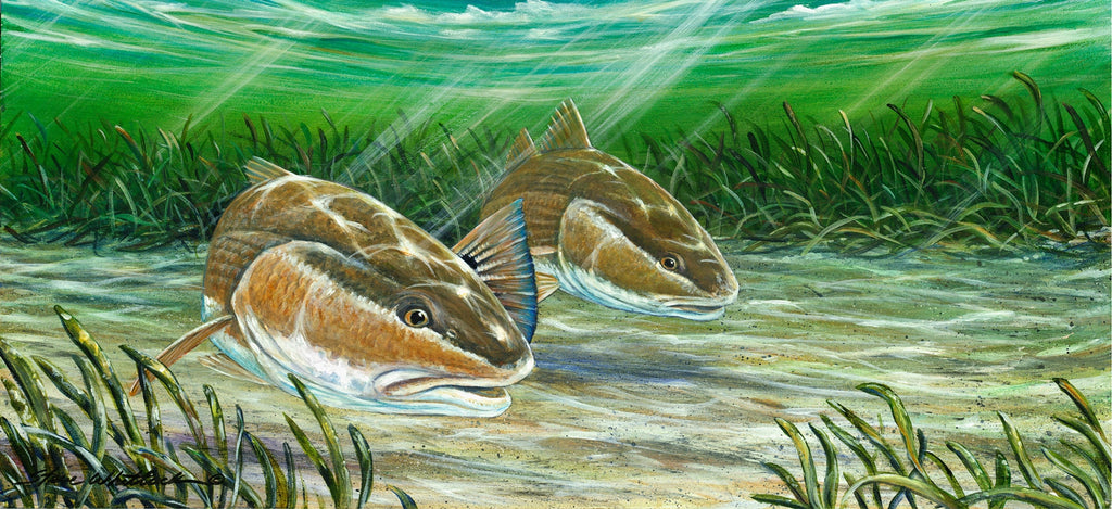 Prowler – Dryflyonline.com