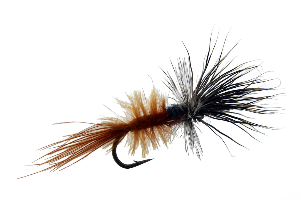 Quigley's Cripple, Discount Trout Flies for Fly Fishing – Dryflyonline.com