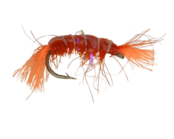 Ulta Violet Scud Orange,Scud Fly fo Fly Fishing for Trout,Discount Fly ...