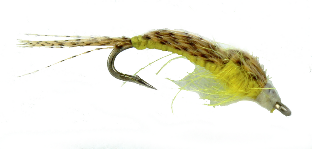 WD 40 Nymph Yellow, Fly Fishing, Trout Fly, Nymph Fly – Dryflyonline.com