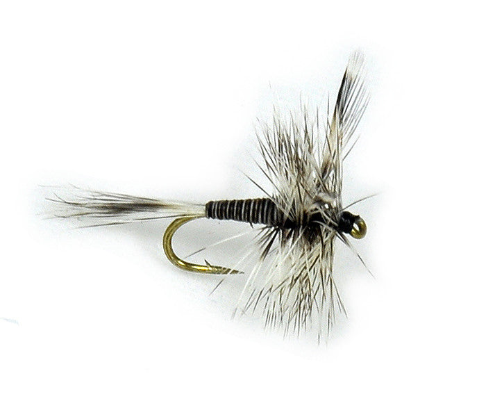 Mosquito (Grey), Discount Trout Flies for Fly Fishing – Dryflyonline.com