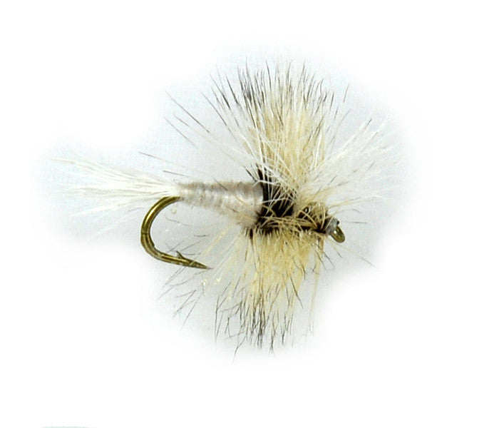 White Wulff, Dry Flies for Fly Fishing, Discount Trout Flies ...